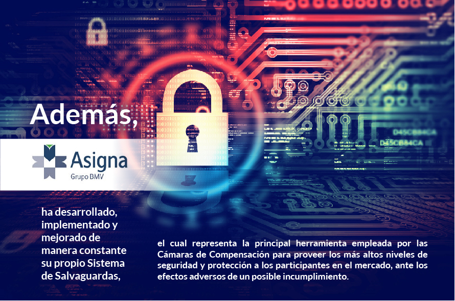 Origen de Asigna, la Cámara de Compensación y Liquidación del Mercado ...