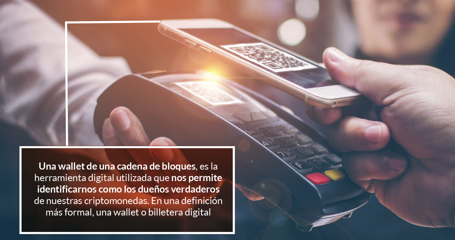 ¿Qué es una wallet? - Hablemos de Bolsa